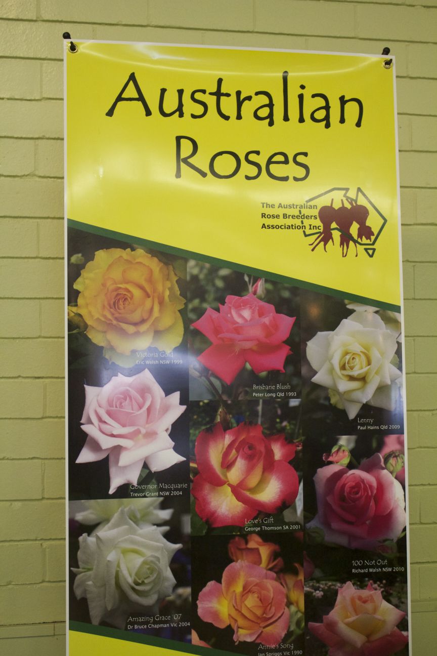 Queensland Rose Society | Photos | Rose Activities